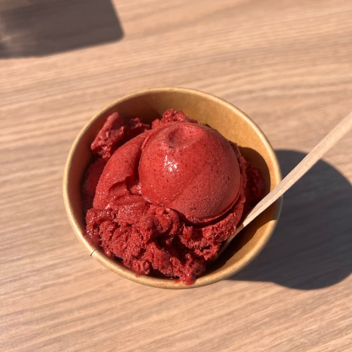 IJssalon Clevers Arcen Arcen, Netherlands blueberry ice cream Review ...