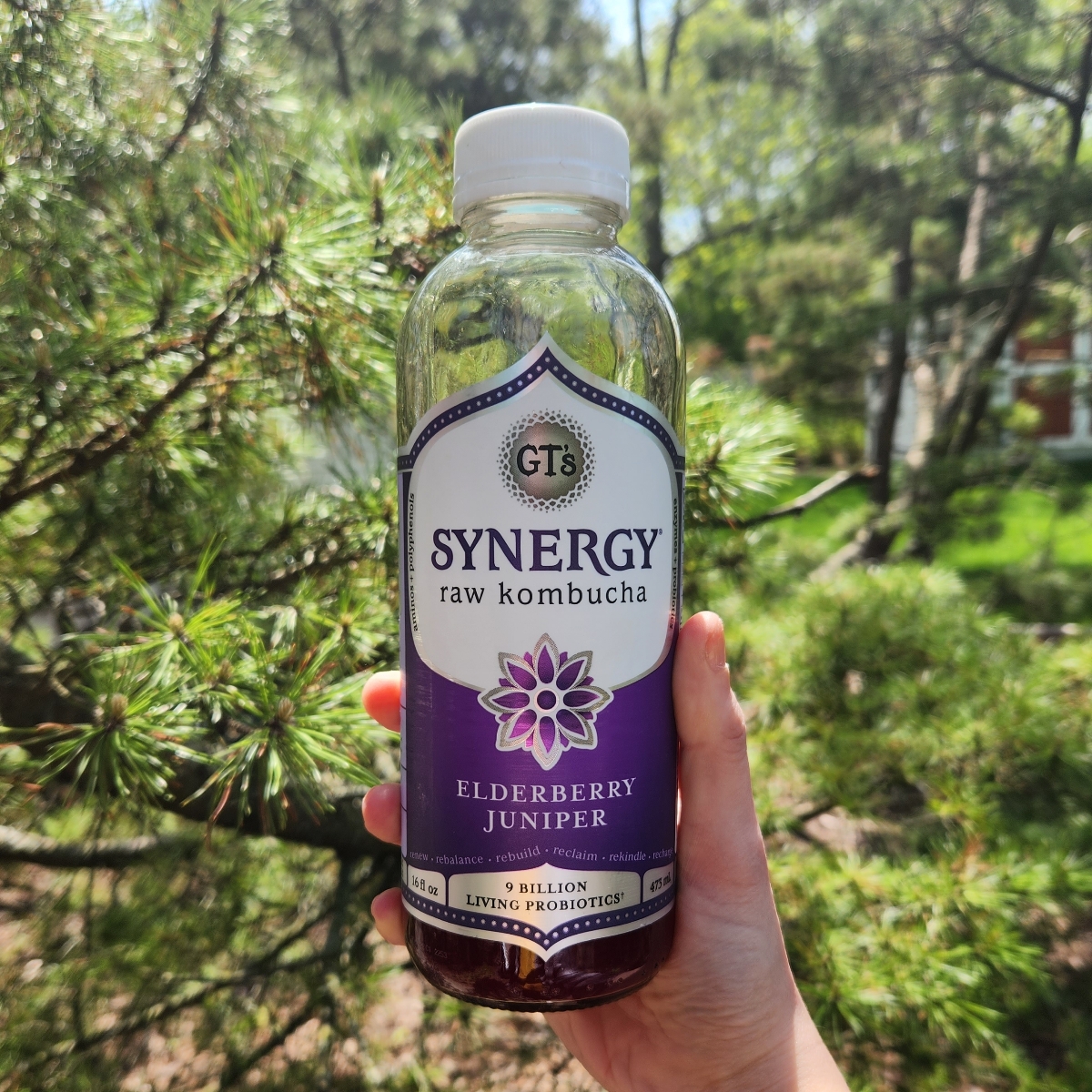 Elderberry Juniper from Synergy - Vegan Product Reviews & Ratings | abillion