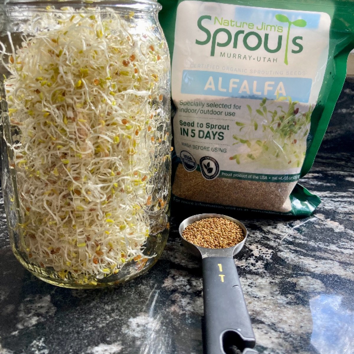 Organic Sprouting Seeds - Alfalfa from Nature Jim’s Sprouts - Vegan ...