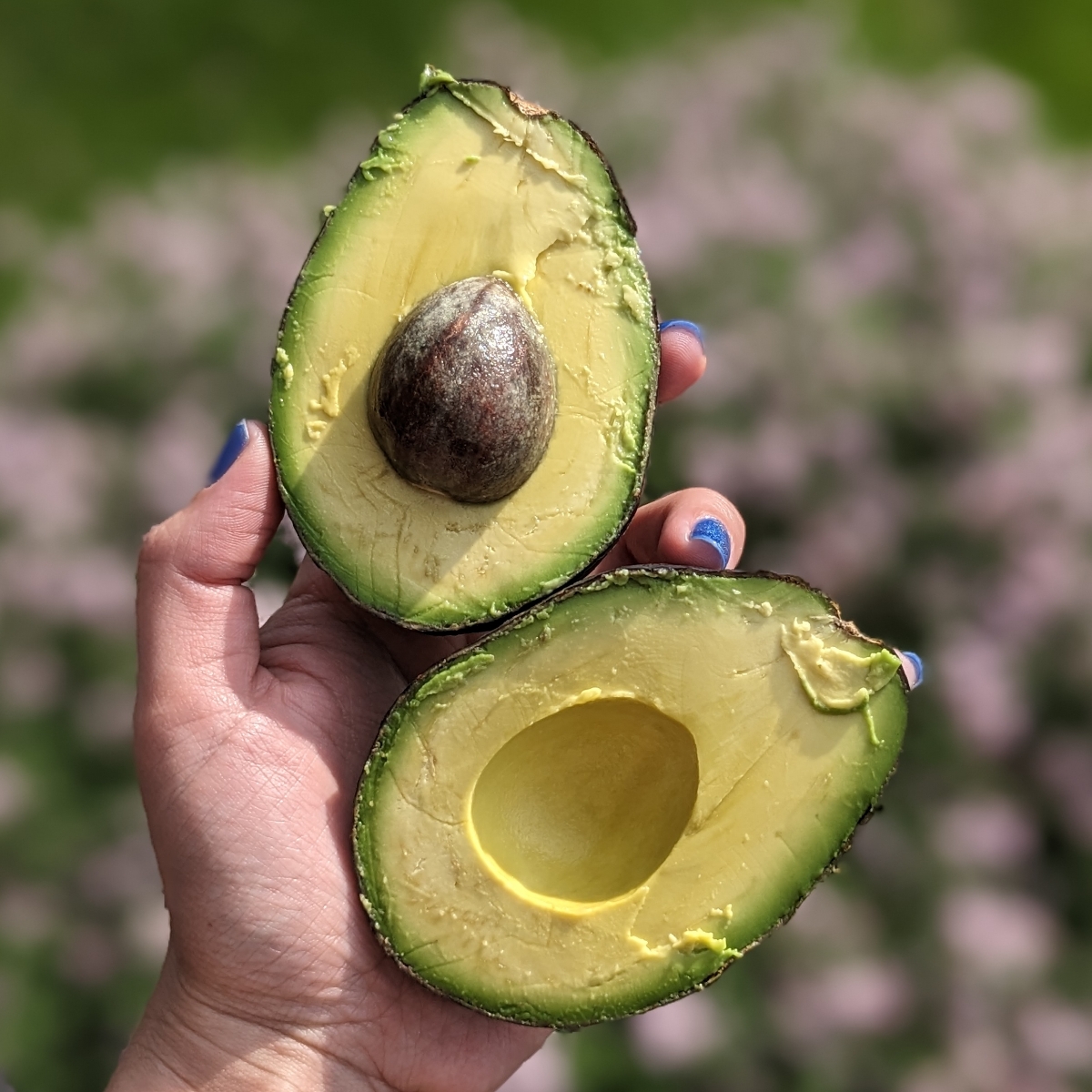 Hass Avocados from Calavo - Vegan Product Reviews & Ratings | abillion