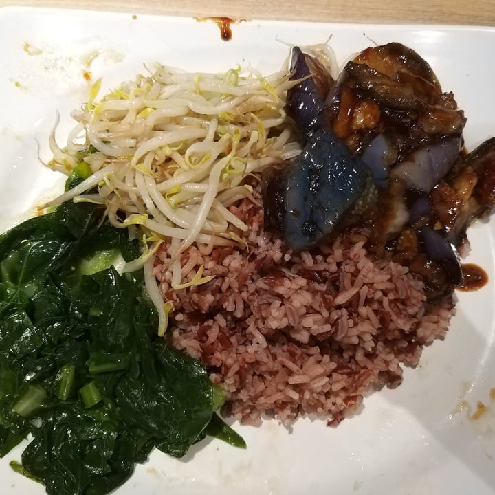 Kopitiam - Plaza Singapura Museum, Singapore Brown rice with vegetables ...