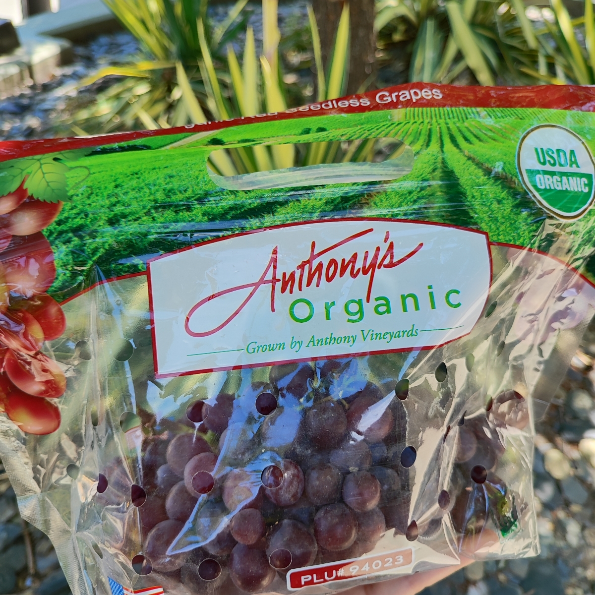 Organic red seedless grapes from Anthony’s Organic - Vegan Product ...