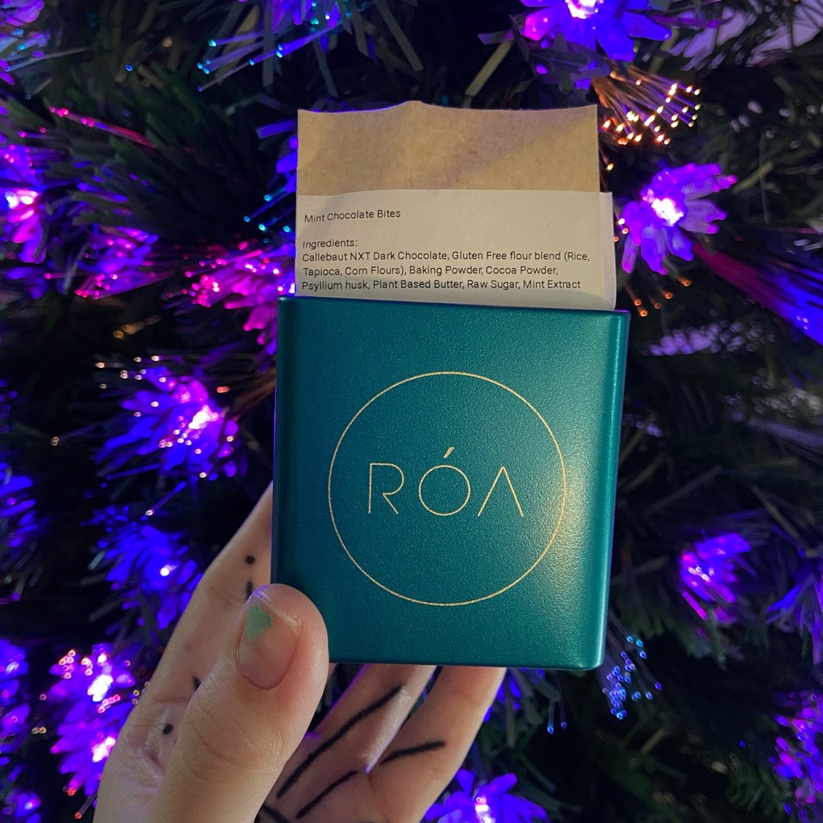 Chocolate Mint Midnight Bites from Róa - Vegan Product Reviews ...