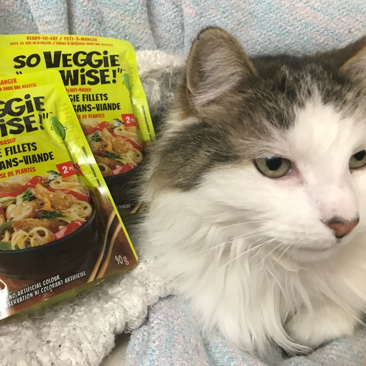 Veggie fillets / Filets sans-viande from So veggie so wise - Vegan ...