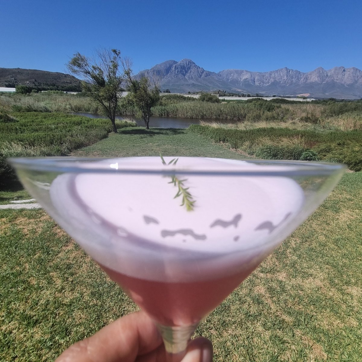 Eezee Foam from Beverage Chefs - Vegan Product Reviews & Ratings | abillion