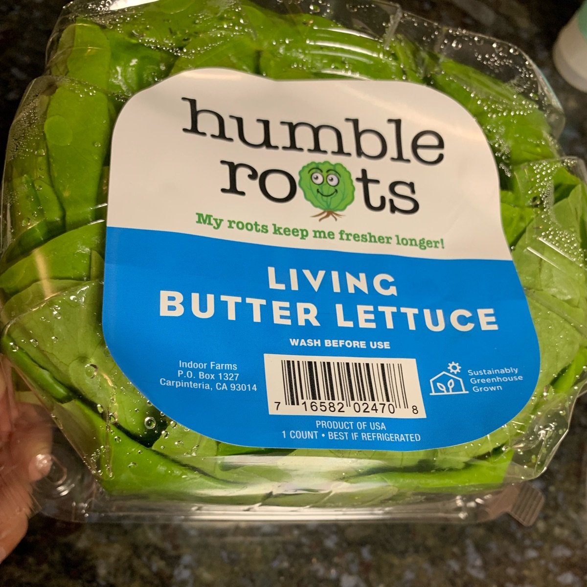 Living Butter Lettuce at Humble Roots - Review by @rochi09 | abillion