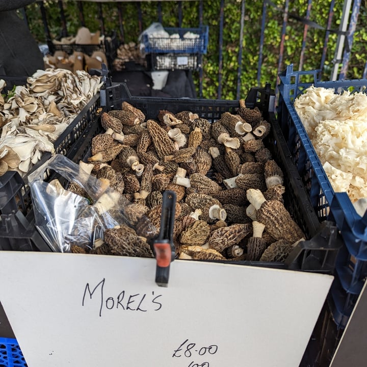 Mushroom Stall at Victoria Park Market Mushroom Stall At Victoria park ...