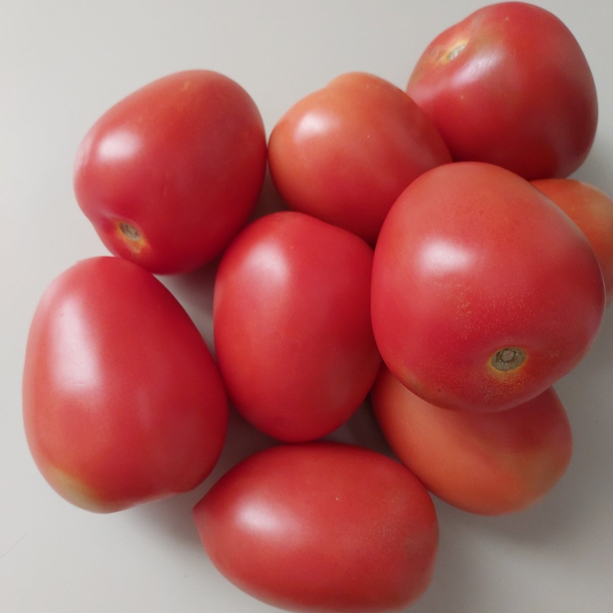 Tomate Italiano from Feira Livre - Vegan Product Reviews & Ratings ...