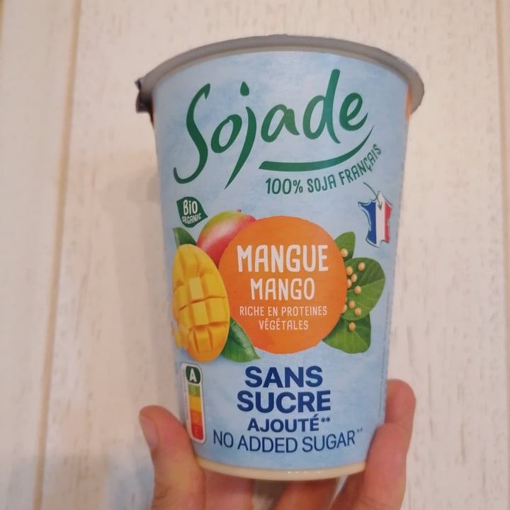 Soyade Yogurt (Mangue/Mango) Review | abillion