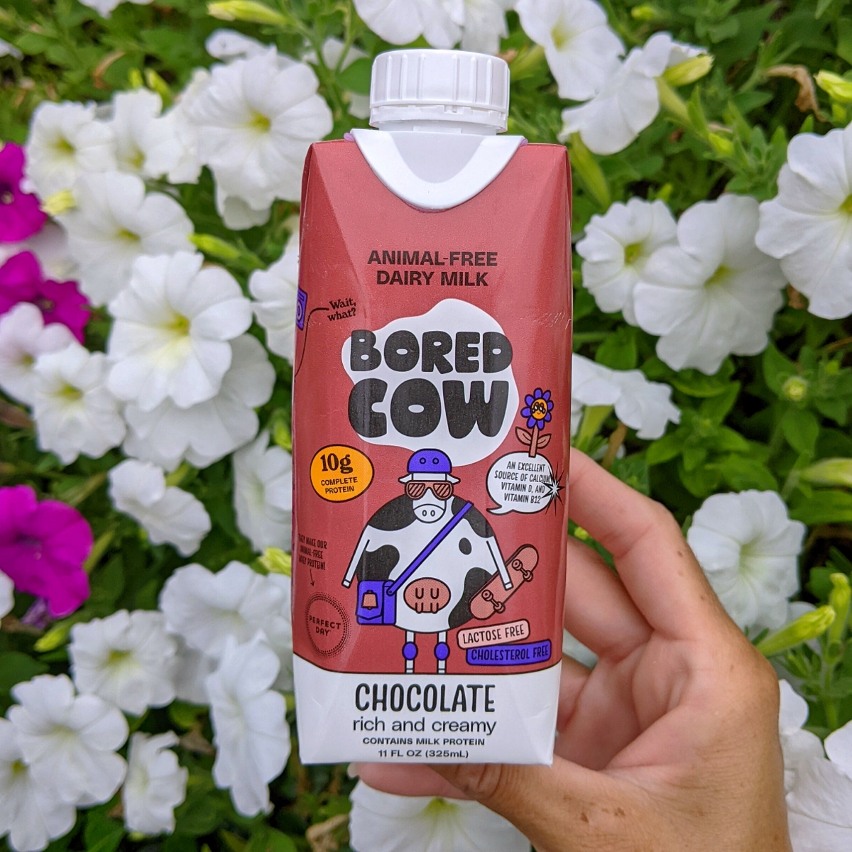 bored cow Milk, Chocolate Reviews | abillion