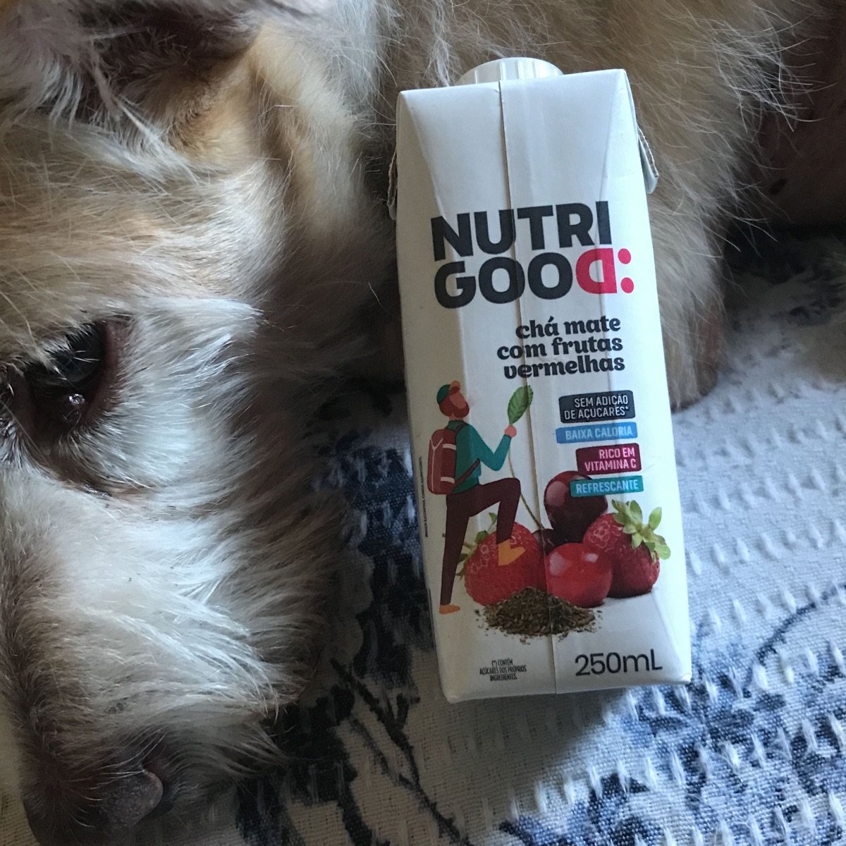 cha mate com frutas vermelhas from Nutri good - Vegan Product Reviews ...