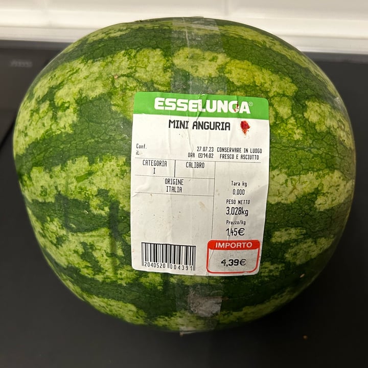 Esselunga mini anguria Review | abillion