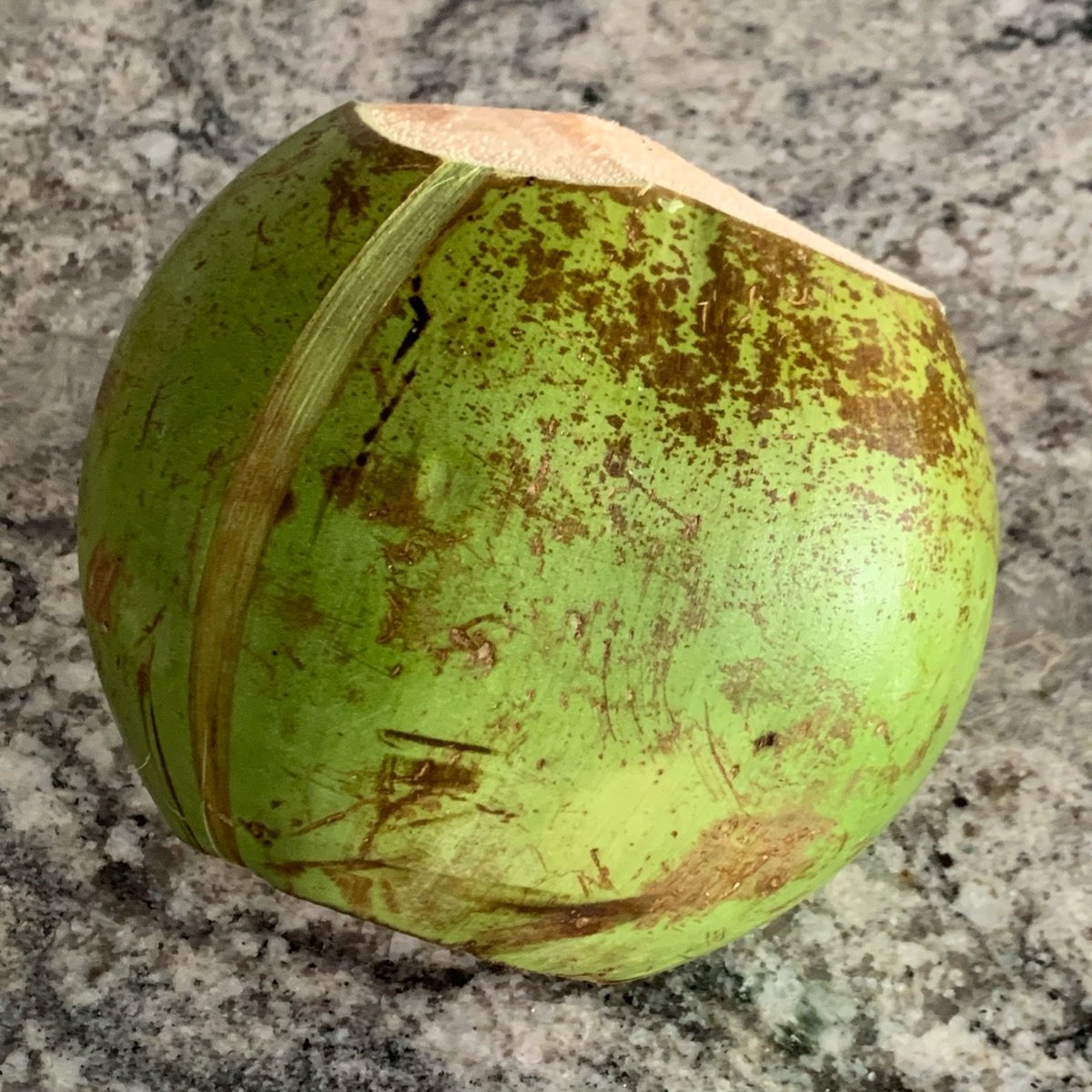 Coco Verde at Vila das Frutas, São Paulo - Vegan Dish Reviews & Ratings ...