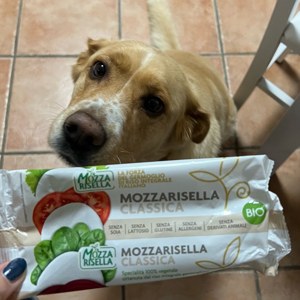 mozzarisella classica from Mozzarisella - Vegan Product Reviews ...