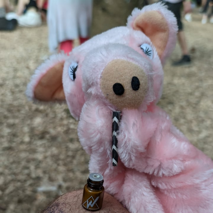 Wildkraut Wildkraut Energy Sniff Review | abillion