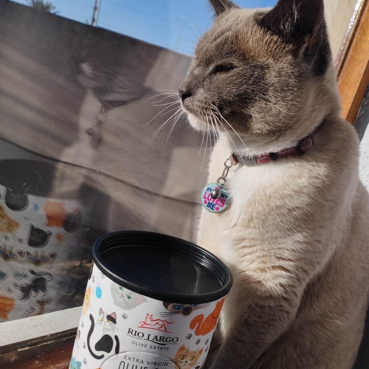 Extra virgin olive oil from Rio Largo - Vegan Product Reviews & Ratings ...