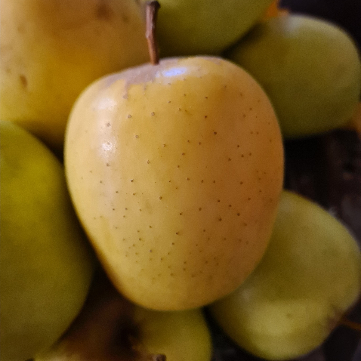 Fresh Fruit Logistics Golden Delicious Apples Reviews | abillion