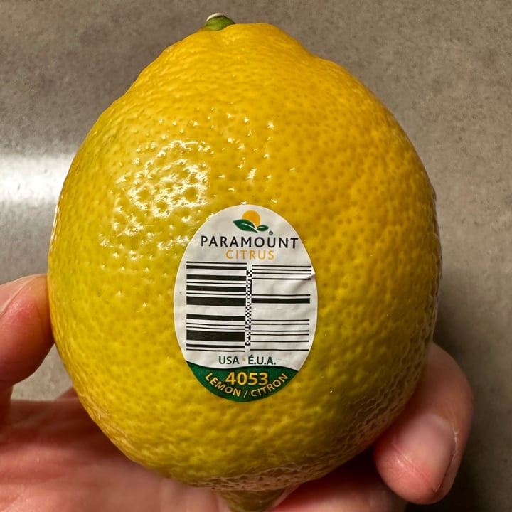 Paramount Citrus Reviews | abillion