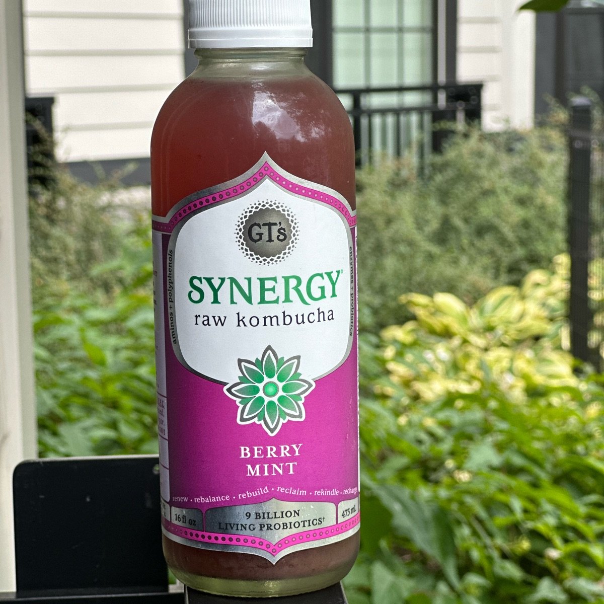 Synergy Berry Mint from GT’s Living Foods - Vegan Product Reviews ...