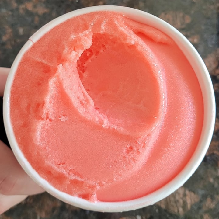 Lezza Watermelon Italian Ice Review | abillion