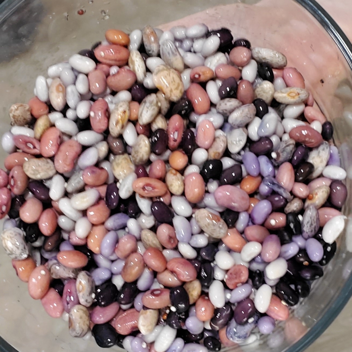 organic small red beans from Natural Grocers - Vegan Product Reviews ...