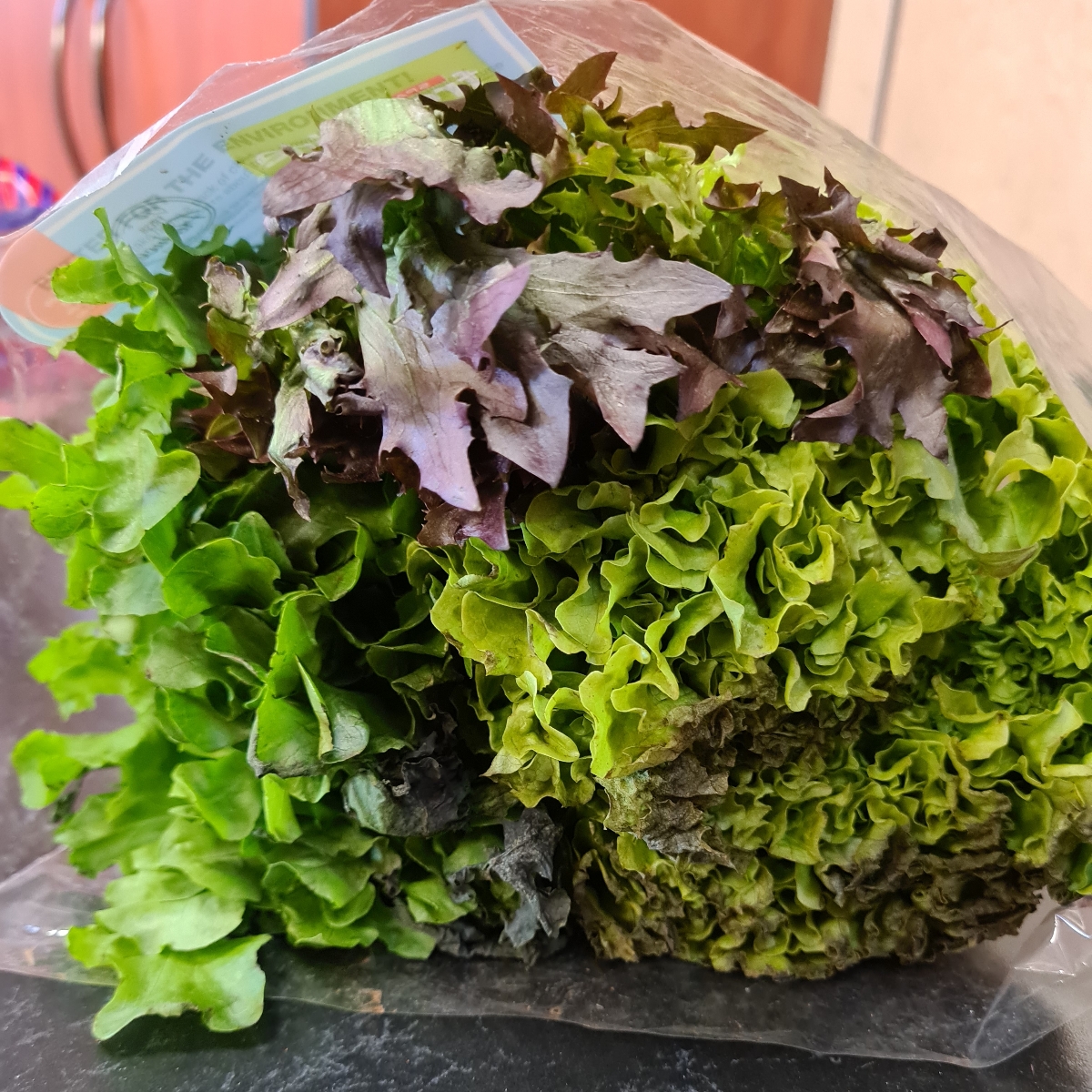 Freshline Aqua leaf Reviews | abillion