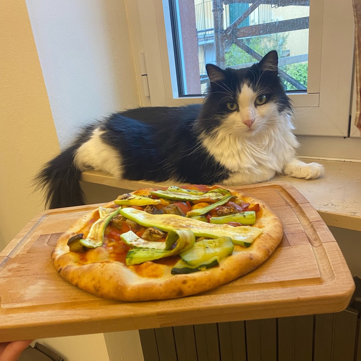 Esselunga Bio Pizza alle verdure con grano kamut Reviews | abillion