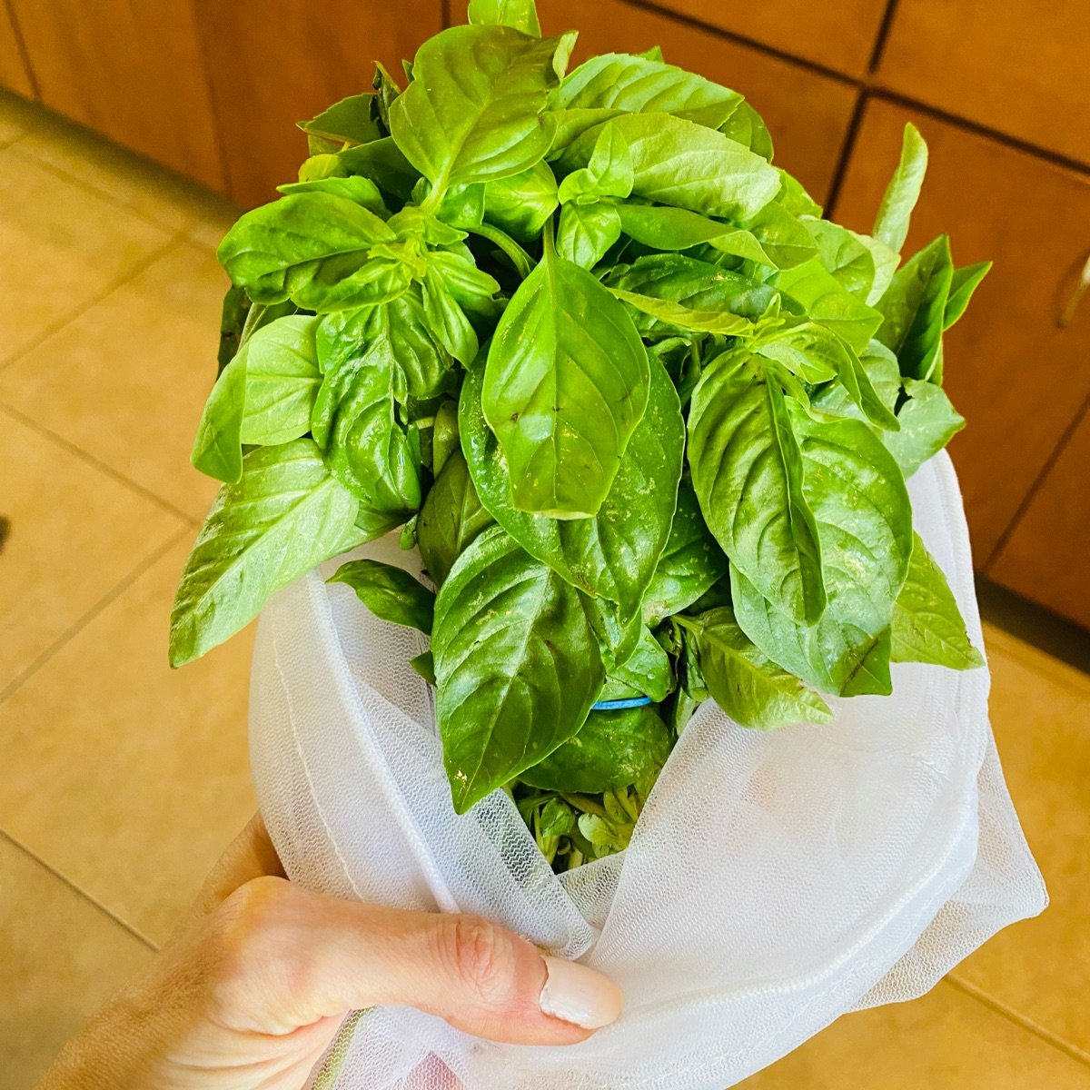 Basil from Gaytan Family Farm - Vegan Product Reviews & Ratings | abillion