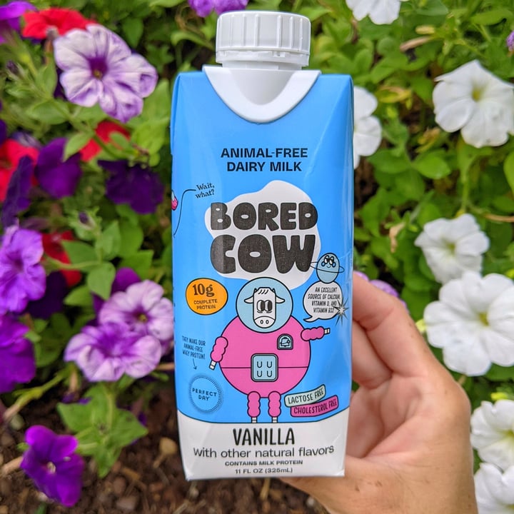 bored cow Reviews | abillion