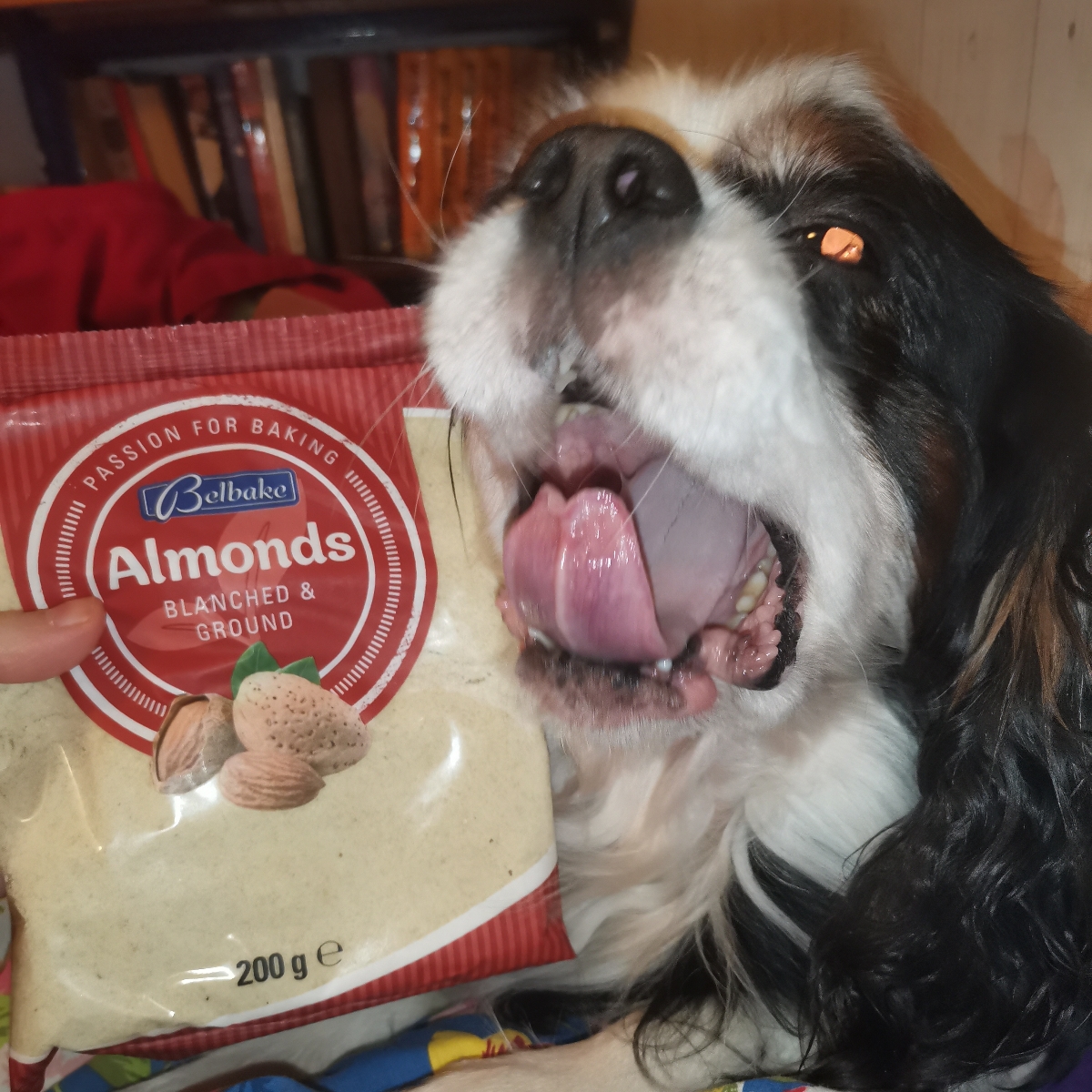 Almond flour from Belbake - Vegan Product Reviews & Ratings | abillion