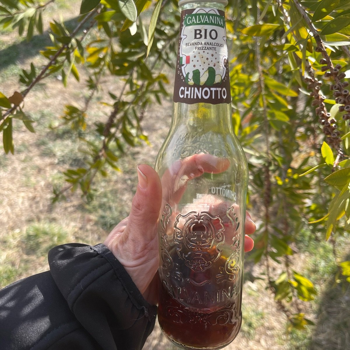 Chinotto bio from Galvanina - Vegan Product Reviews & Ratings | abillion