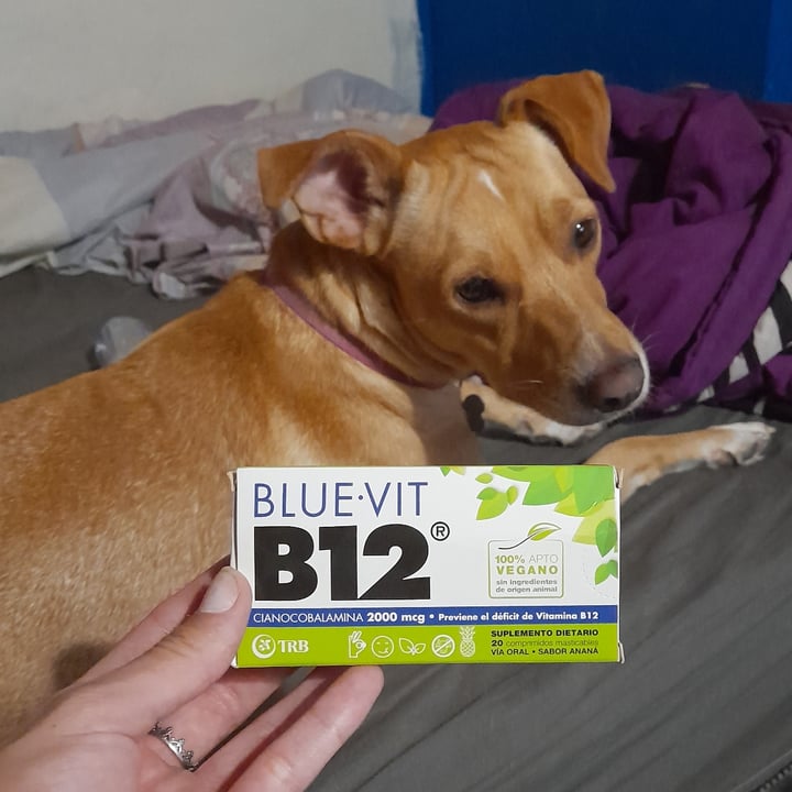Blue vit BLUE VIT B12 Review | abillion