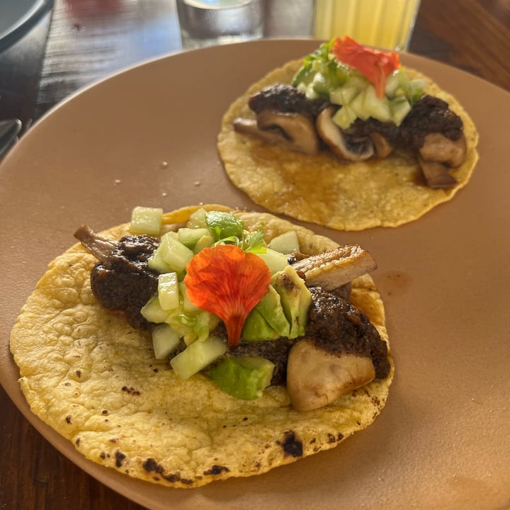 Luciérnagas y Cosmonautas Parque de la Mejorada, Centro, Mérida, Mexico ...