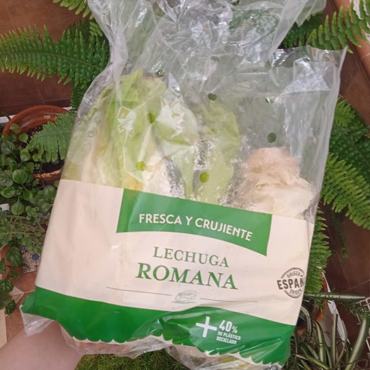 ALDI lechuga romana Review | abillion