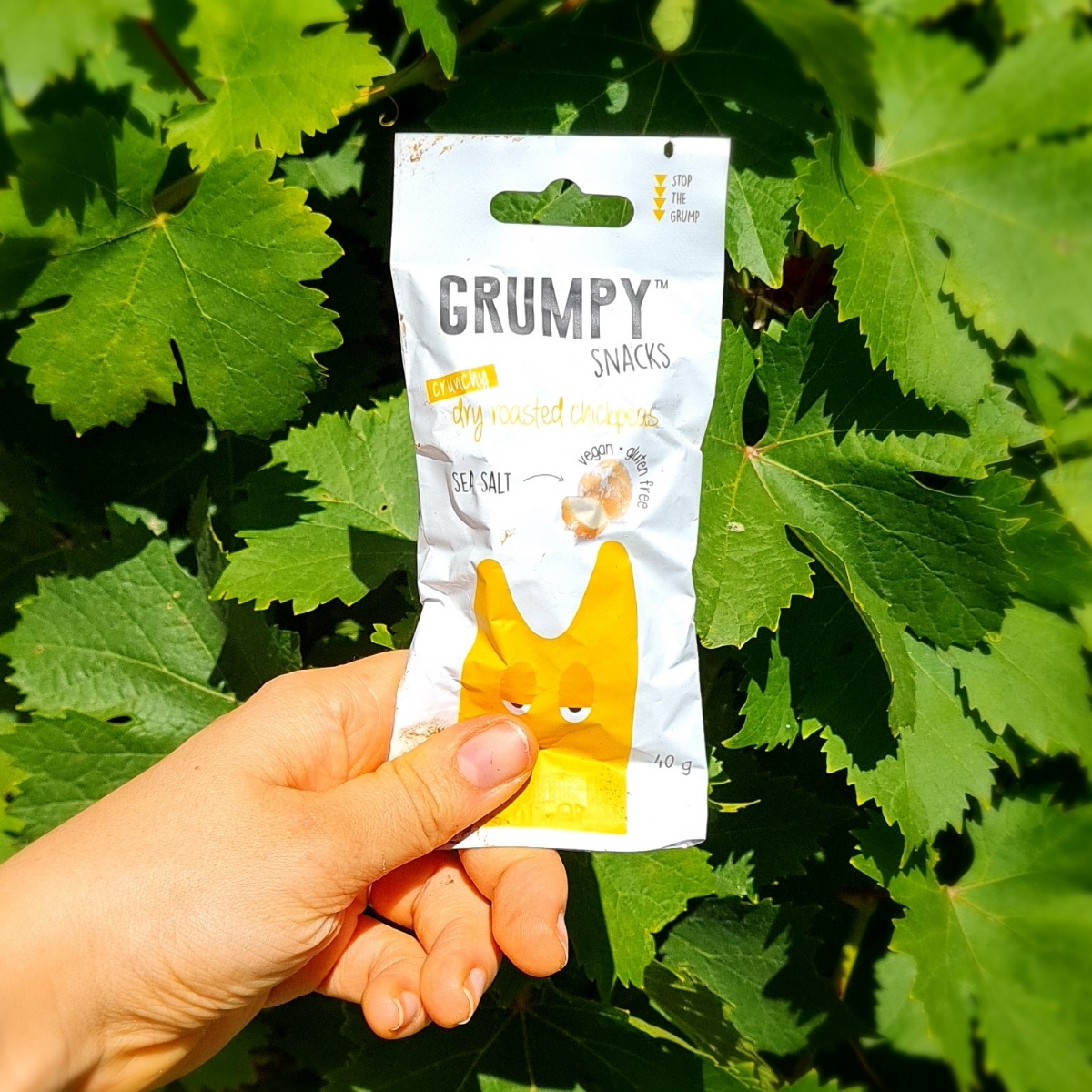 Grumpy Snacks - Grumpy snack Sea Salt Roasted Chickpeas Review | abillion