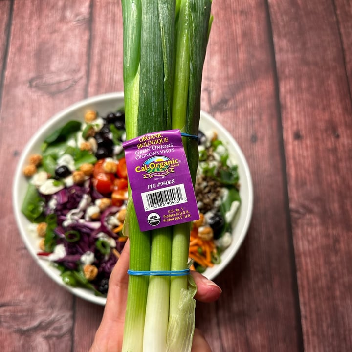 Cal Organic Farms Green Onions Review | abillion