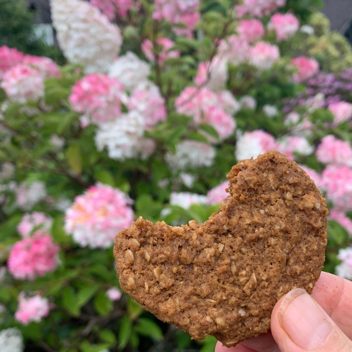 treacle crunch biscuits from Farmhouse Biscuits - Vegan Product Reviews ...