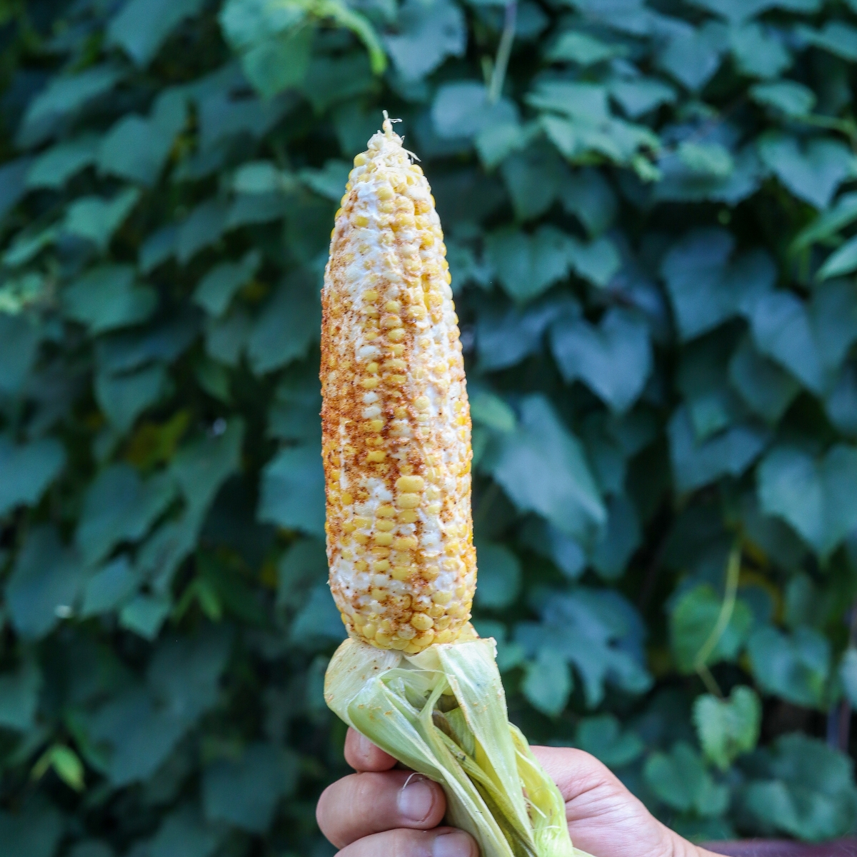 BBQ Street Corn at Vida's Plant Based Butcher, Columbus - Vegan Dish ...