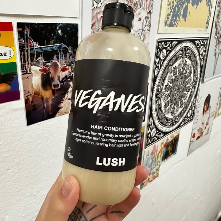 Lush Fresh Handmade Cosmetics Veganese Conditioner Review Abillion