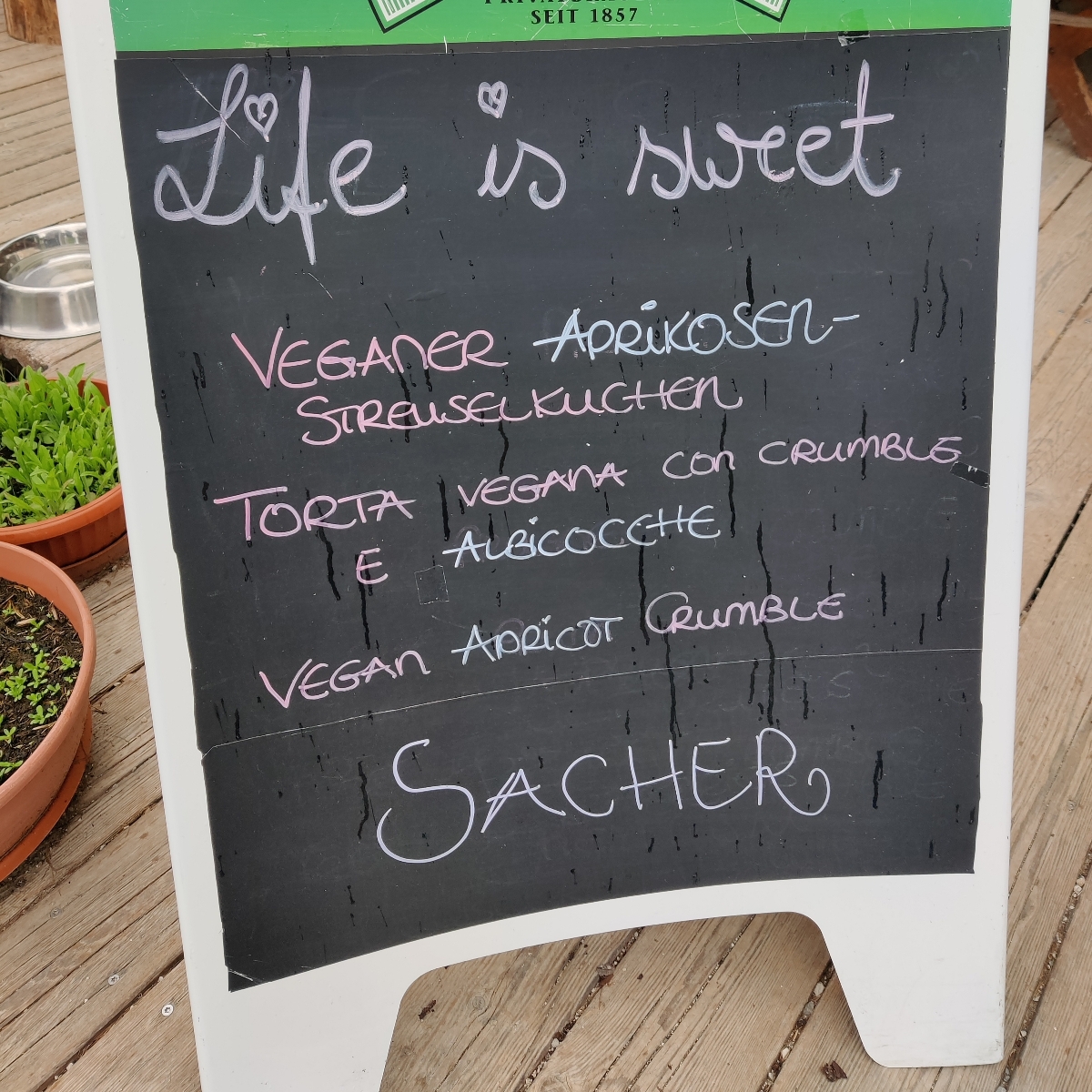 Torta Vegana at Rifugio Prati di Croda Rossa - Vegan Dish Reviews ...