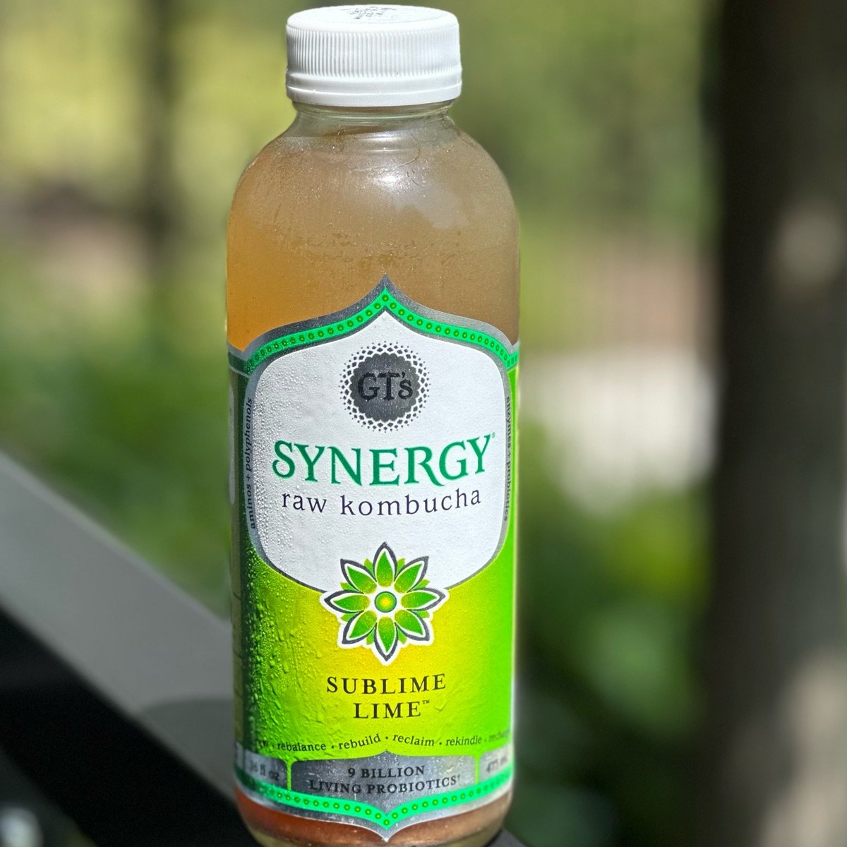 Synergy Raw Kombucha Sublime Lime from GT’s Living Foods - Vegan Product Reviews & Ratings ...