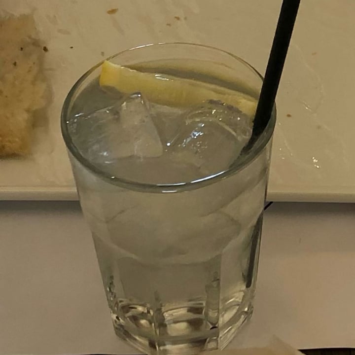 Foody Farm Florence Firenze, Italy gin tonic Review | abillion