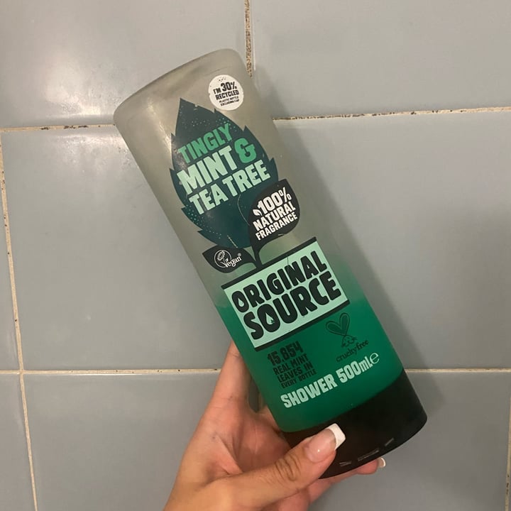 Original Source Tingly Mint & Tea Tree Review | abillion