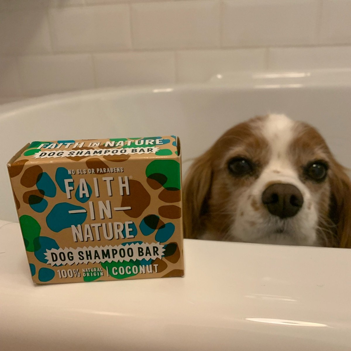 Dog shampoo bar coconut from Faith In Nature - Vegan Product Reviews ...