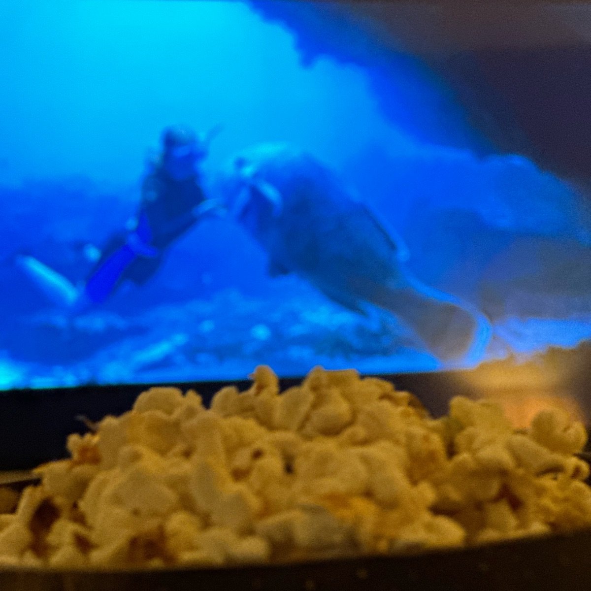 Organic Sprouted Popcorn Kernels from Thrive Market - Vegan Product ...