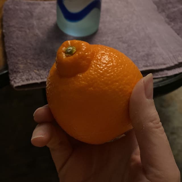 Organic Minneola (Tangelo) from Hgo farms - Vegan Product Reviews ...