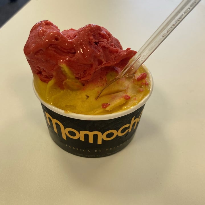 Momocho Ice Cream Castelldefels, Spain Raspberry Ice cream Review | abillion