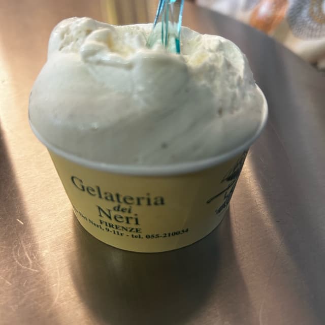 Gelato Al Coco E Banana at Gelateria dei Neri, Florence - Vegan Dish ...