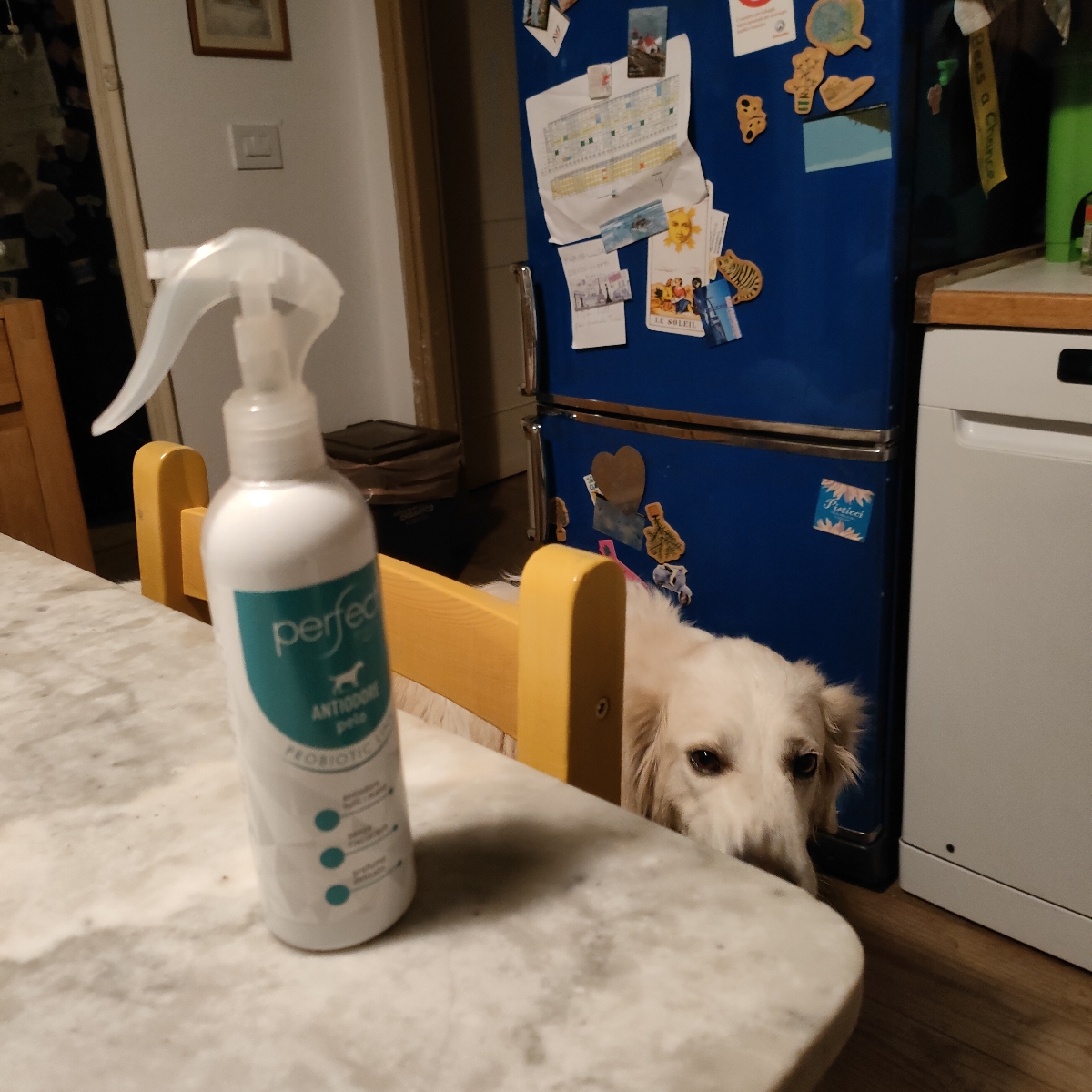 Antiodore Pelo - Probiotic Line from Perfect beauty - Vegan Product ...