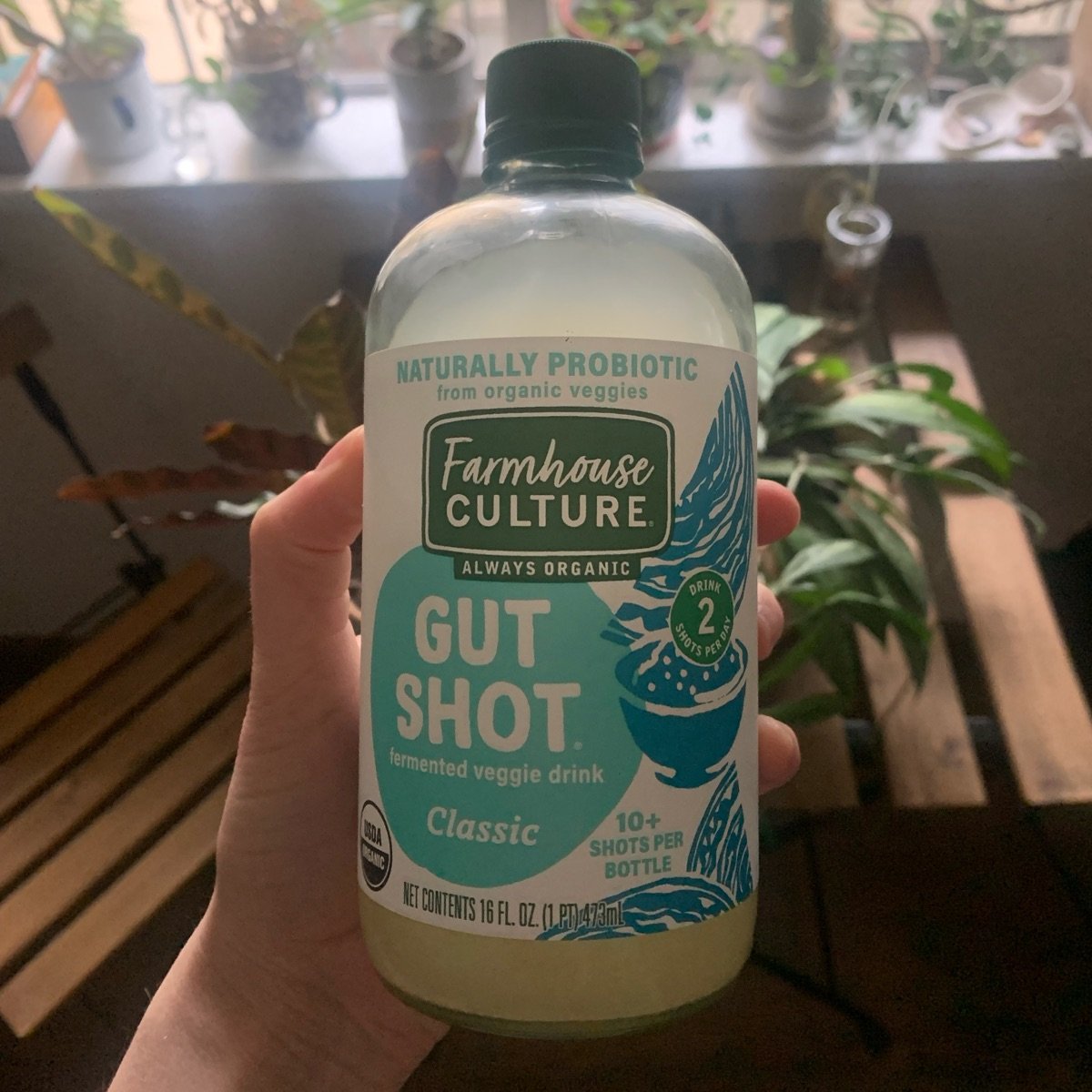 Gut Shot - Classic from Farmhouse Culture - Vegan Product Reviews ...